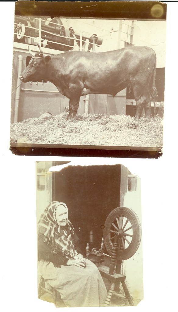 NATHANIEL L. STEBBINS (1847-1922) EARLY WORK – vintagephotosjohnson